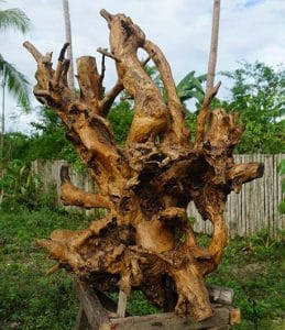 About Mark Raven Amsterdam Art - Mark Raven